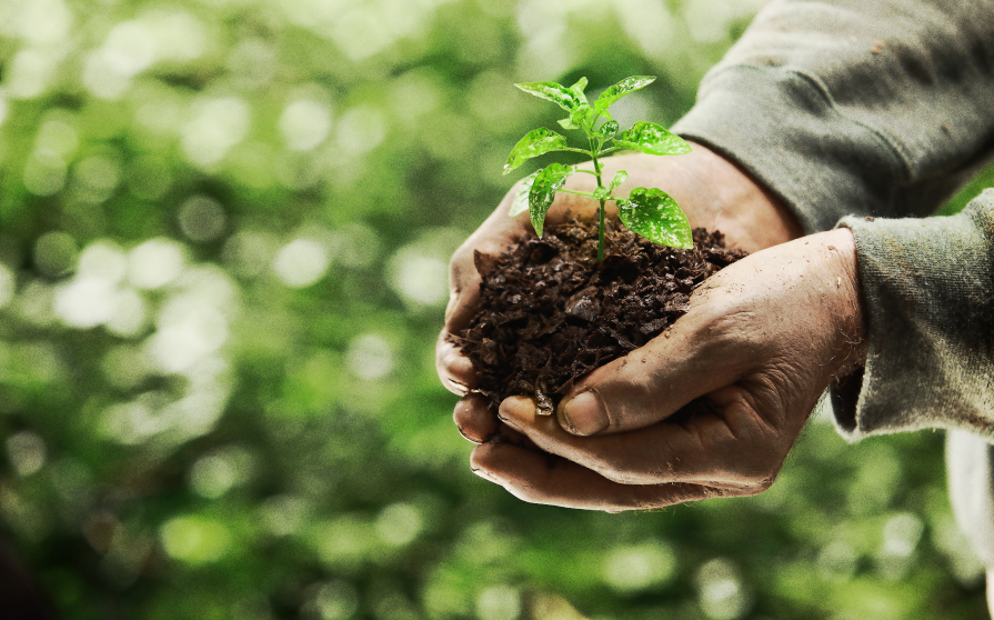 Puede ser calculado En Merecer proteccion y conservacion de los suelos ... Puede ser calculado En Merecer proteccion y conservacion de los suelos ...